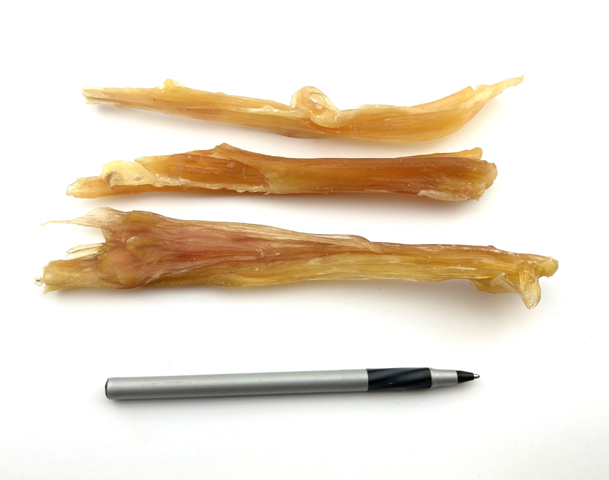 Best All-Natural Bully Sticks for Dogs - BullySticks.ca